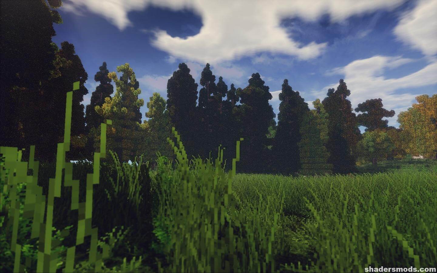 Triliton’s Shaders 1.19.1 → 1.6.2 • Download Shader Pack for Minecraft